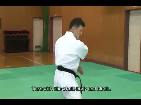 Kyokushin Kata Explanation Pinan Sono Ichi 1 - YouTube