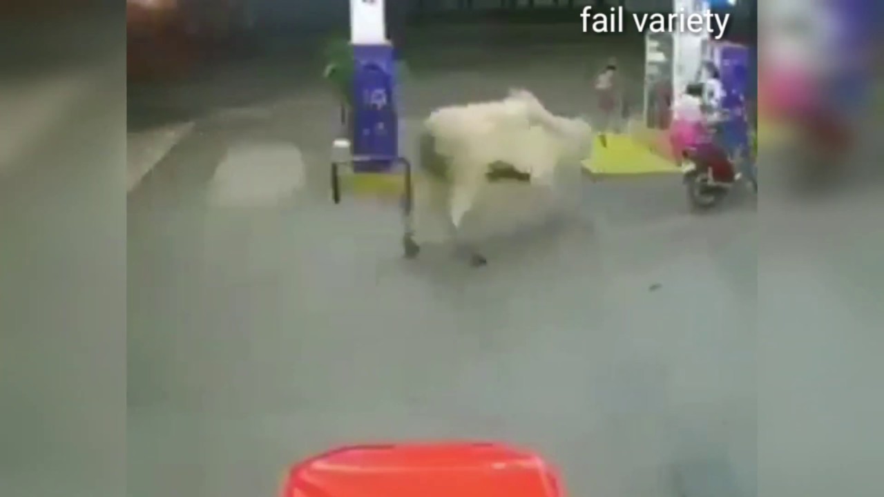 Funny video / fail compilation - YouTube