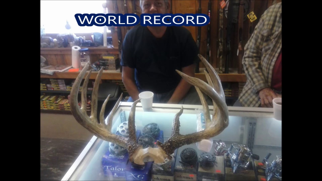 NEAR WORLD RECORD WHITETAIL BUCK KING BUCK - YouTube