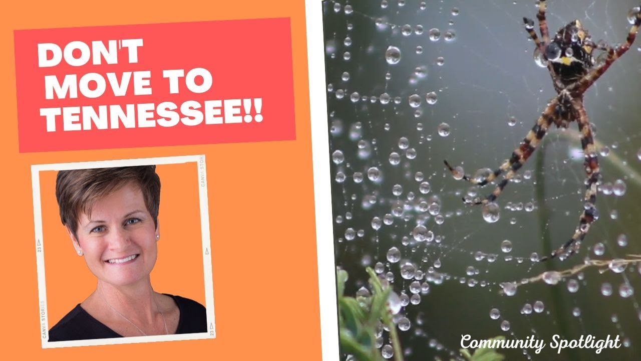 9 Reasons NOT To Move To East Tennessee | Susan Stevens, Realtor® - YouTube
