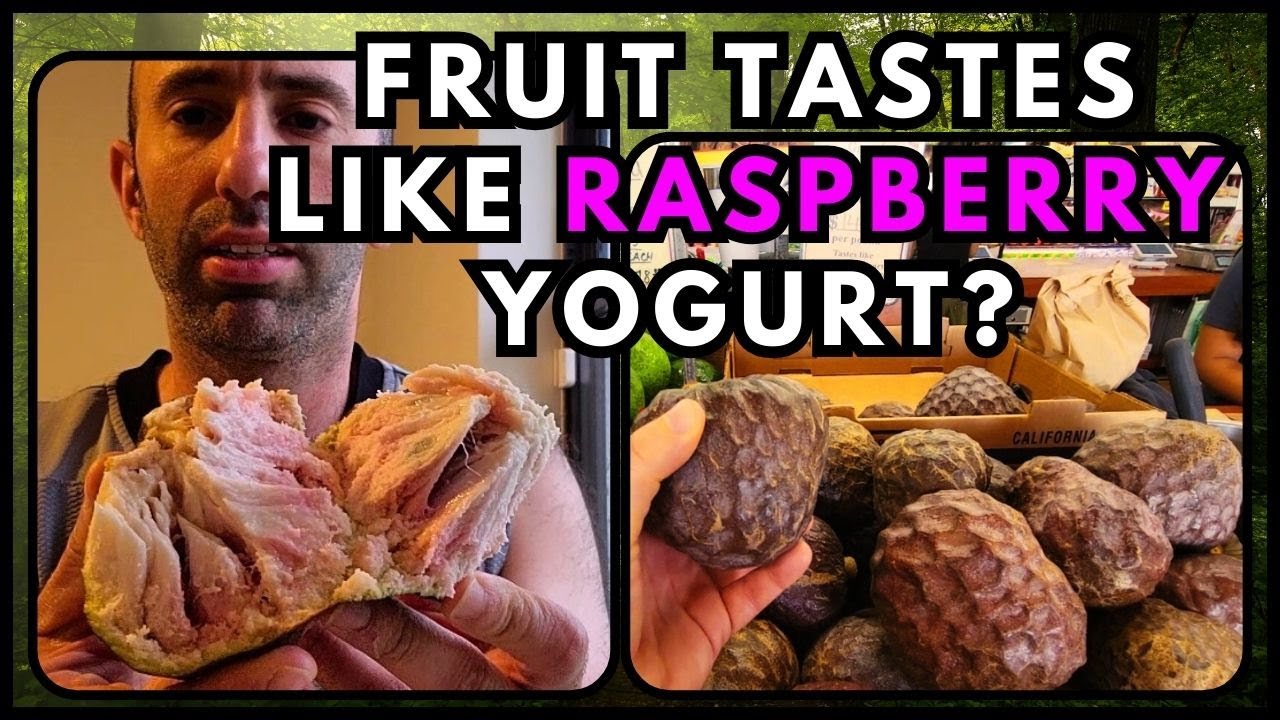 What Does Red Ilama Taste Like? (Exotic Fruit Tasting) - YouTube