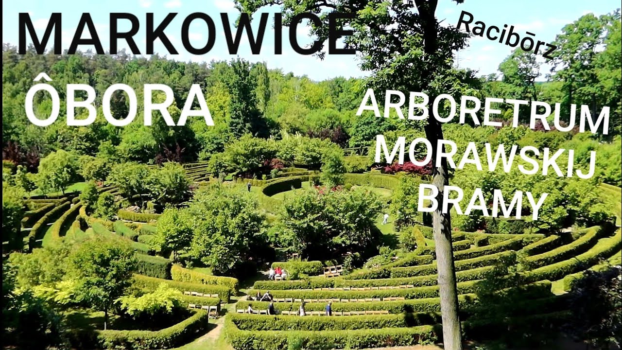 MARKOWICE, ÔBORA (Racibórz 4/7) - Arboretrum Morawskij Bramy. Gōrny ...