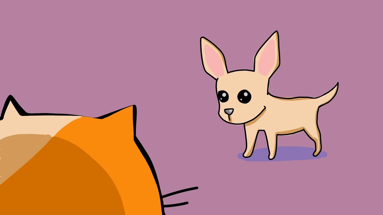 Animation Cat - YouTube