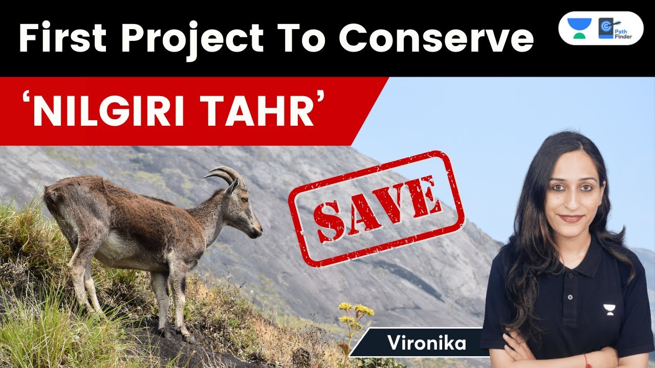 First Project To Conserve ‘NILGIRI TAHR’ | Explained by Vironika - YouTube
