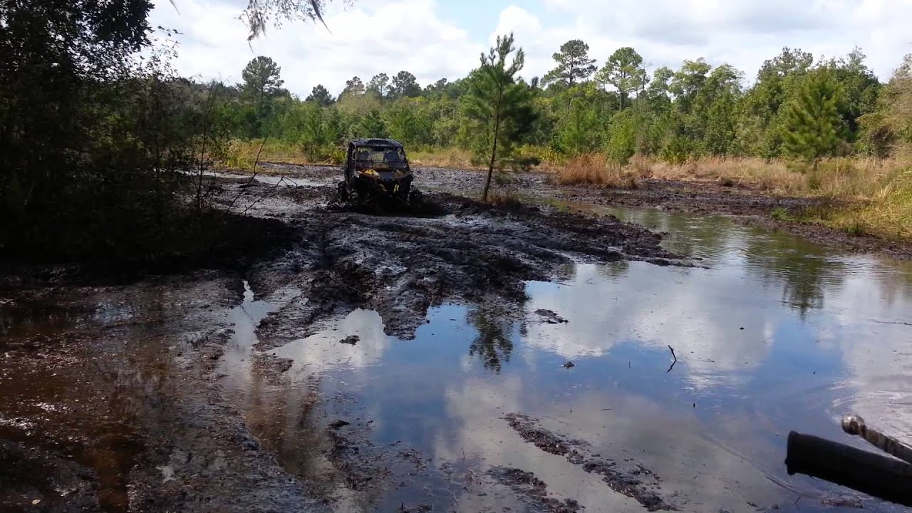 Hog Waller Super Bog - March 2015 - YouTube