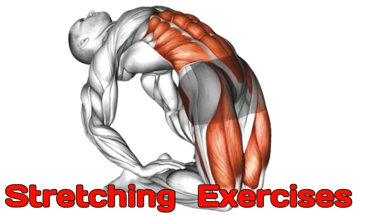 FULL BODY STRETCHING WORKOUT |Stretching After Workout| #WORKOUT ...