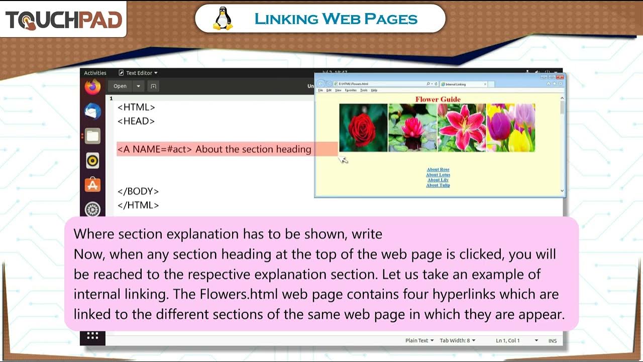 Linking Web Pages |𝐂𝐡 07 |Plus 𝐕𝐞𝐫3.𝟏|𝐂𝐥𝐚𝐬𝐬 𝟎8 - YouTube