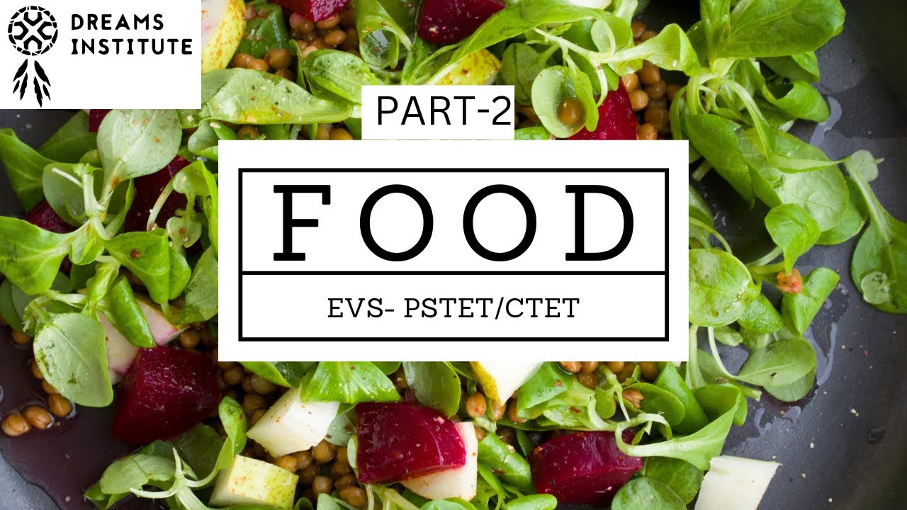 FOOD -EVS || LECTURE-2 - YouTube