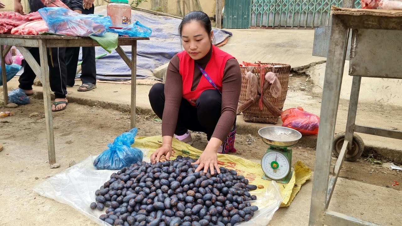 Harvest Palm Fruit To the market to sell - Daily Life - YouTube