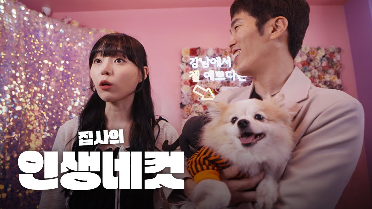 몇 번을 찍는거야ㅣ집사의 소리 Youtube