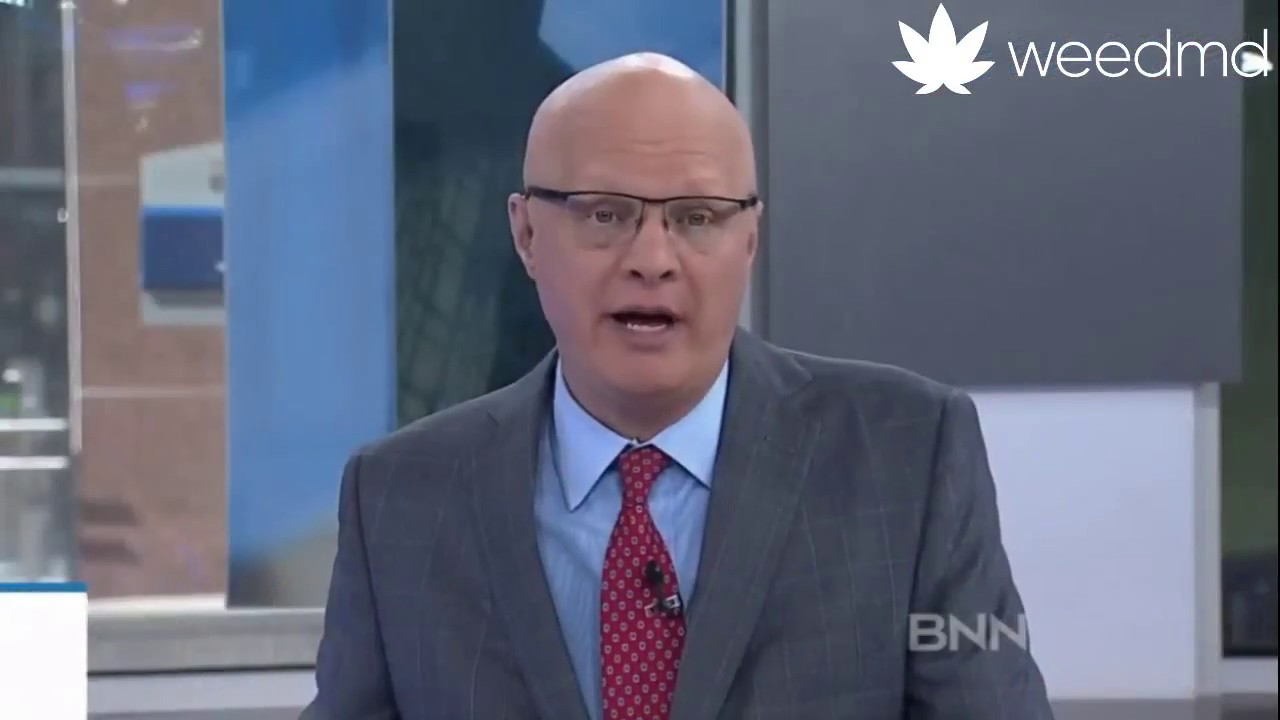 Hiku Brands CEO Alan Gertner Talks WeedMD Merger - YouTube