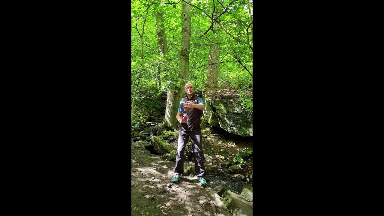 Eight Methods, Five Steps - Bafa Wubu Tai Chi (Taiji) - 八法五步 - YouTube