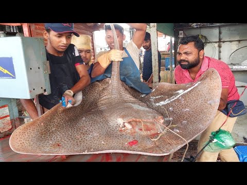 100 KG Giant Stingray Cutting !! Incredible fish cutting!! Never seen ...