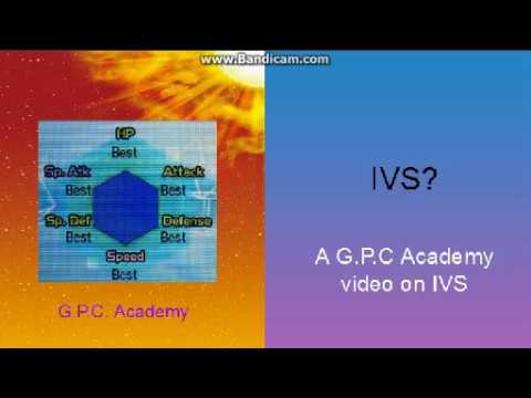IVS? ( IVS AND IV BREEDING GUIDE) GPC ACADEMY EPISODE #1 - YouTube