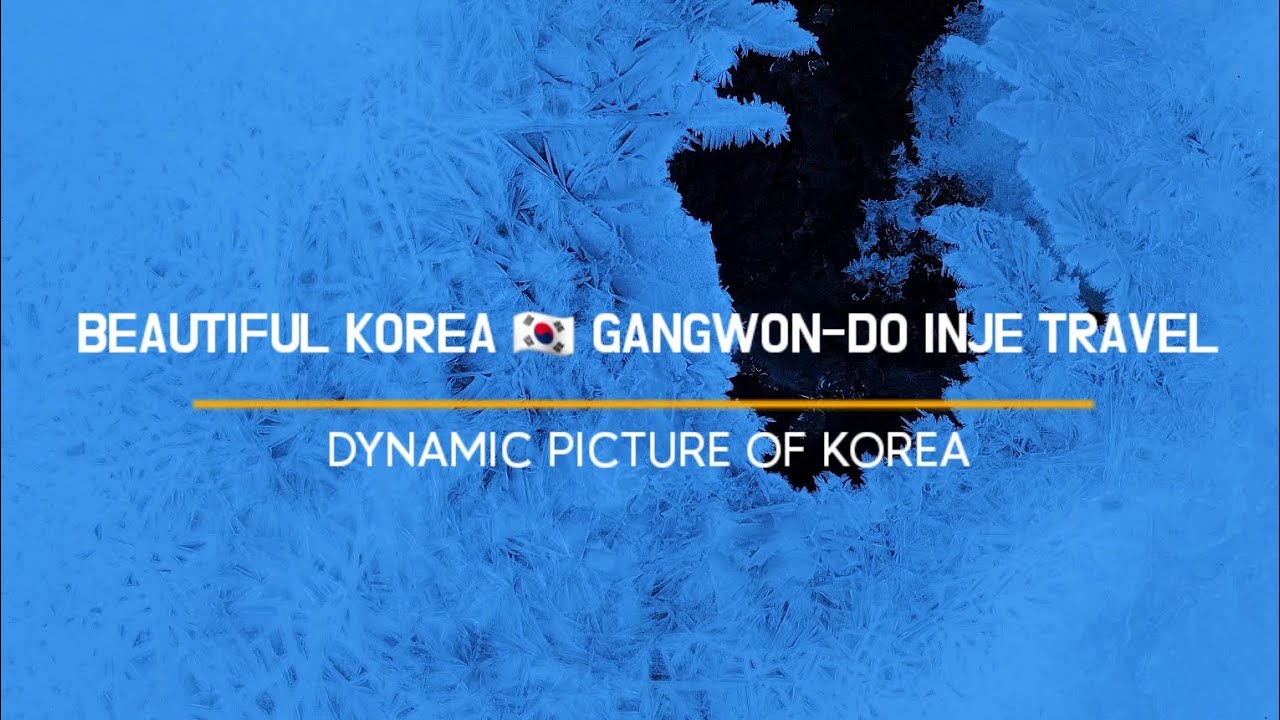 강원도 인제군 자작나무숲, 갯골자연휴양림, 기적의 도서관 Beautiful Korea 🇰🇷 Gangwon-Do, Inje ...