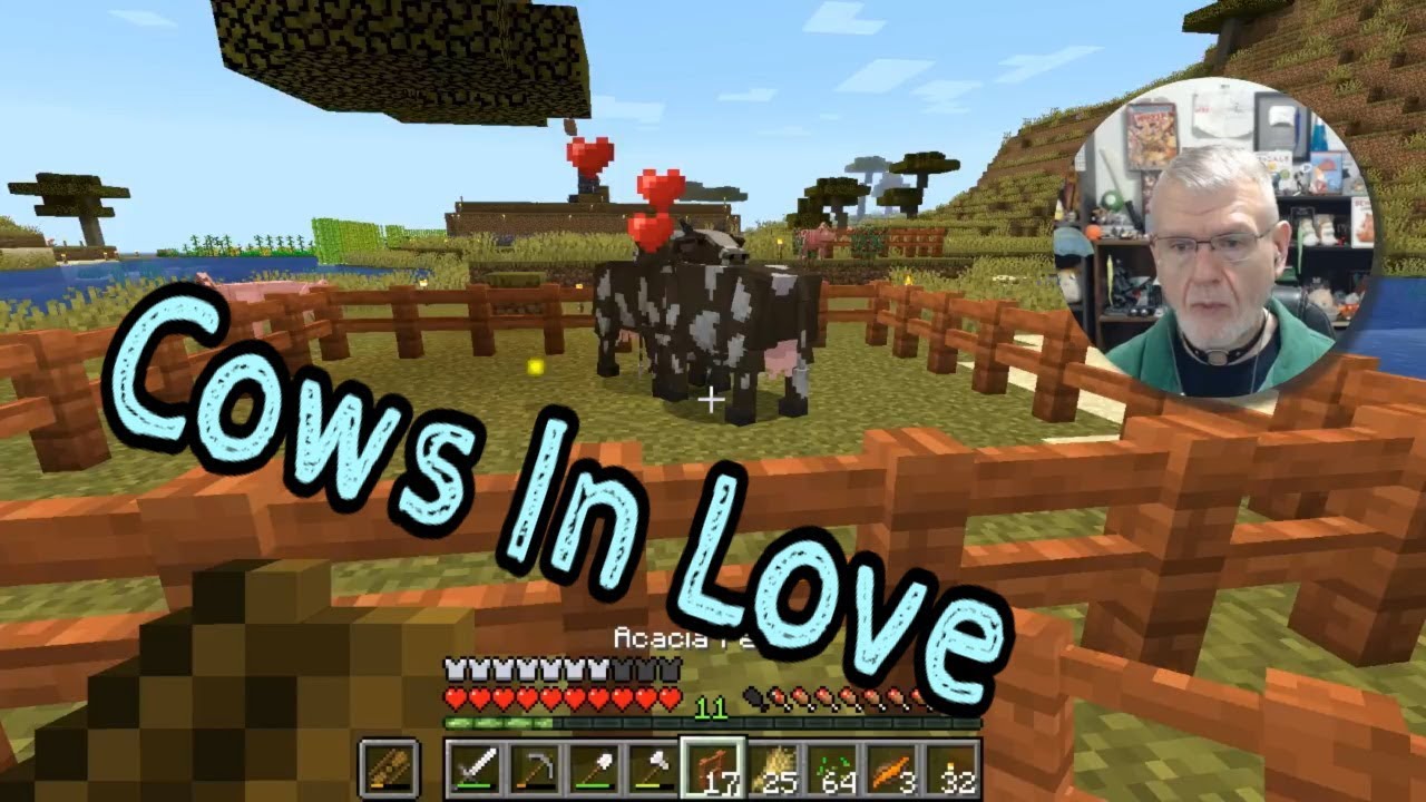 Modded Minecraft - Valhelsia #15 | Home Improvement Relaxation Series ...