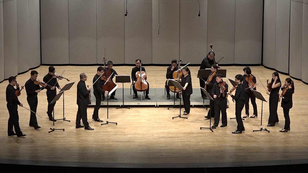 Concerto for Strings (Nino Rota) 2018年夏綠節慶室內樂團巡迴演出(兩廳院演奏廳) - YouTube