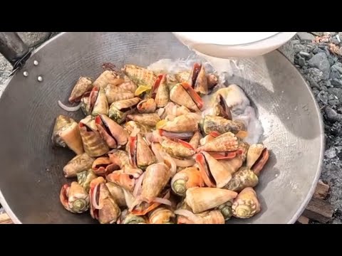 🎣 CATCH & COOK GIANT RED SEA SHELLS on Remote Village Coast! 🌊🔥 ...