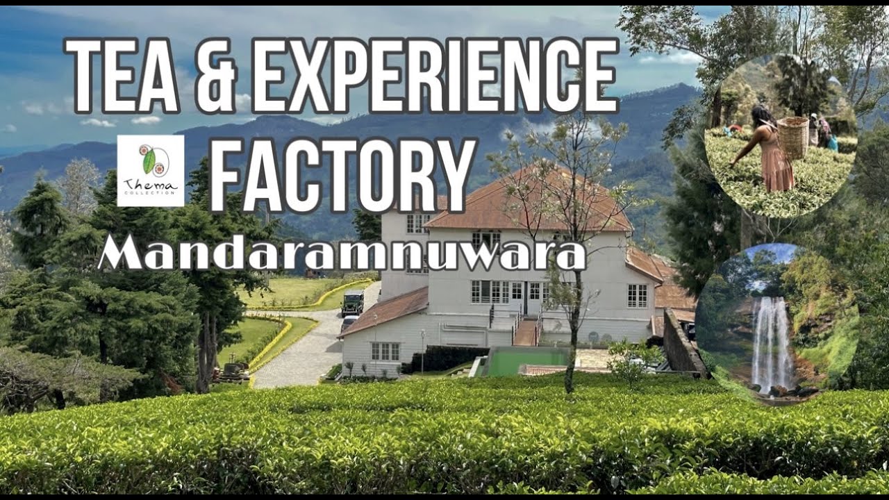 Tea & Experience Factory | Mandaramnuwara | Thema Collection | Hotel ...