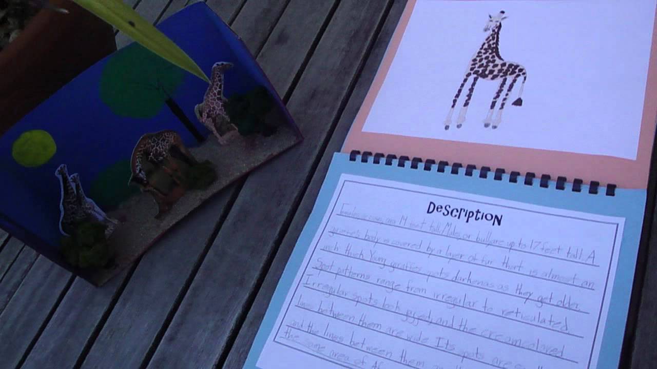 Elise's 1st grade diorama and animal report - YouTube