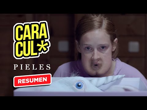 ¿QUÉ ACABO DE VER? RESUMEN PIELES