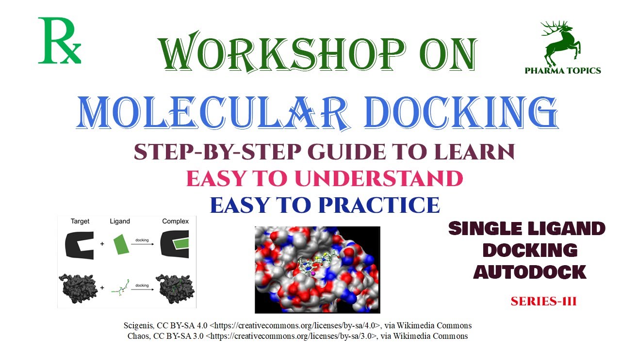 Workshop on Molecular docking - Single ligand docking - Series-3 - YouTube