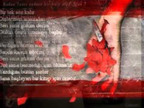 Hüseyin Erbil aşk resimleri