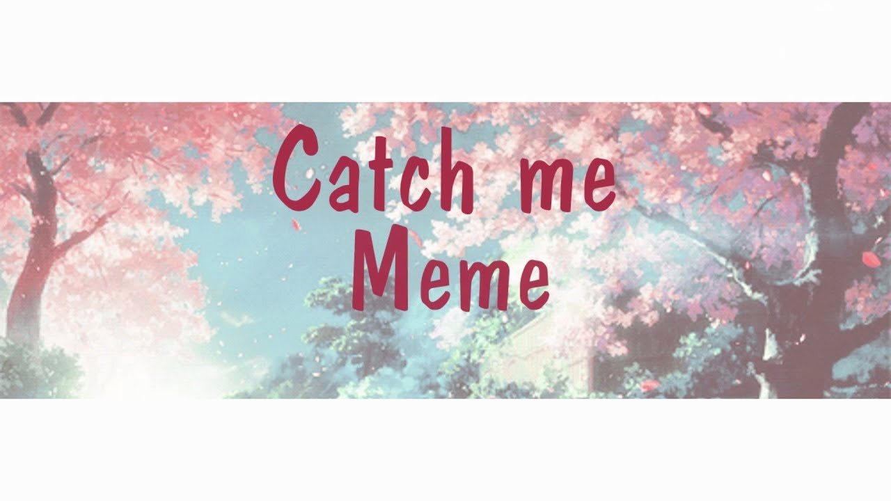 Catch me |Meme| - YouTube