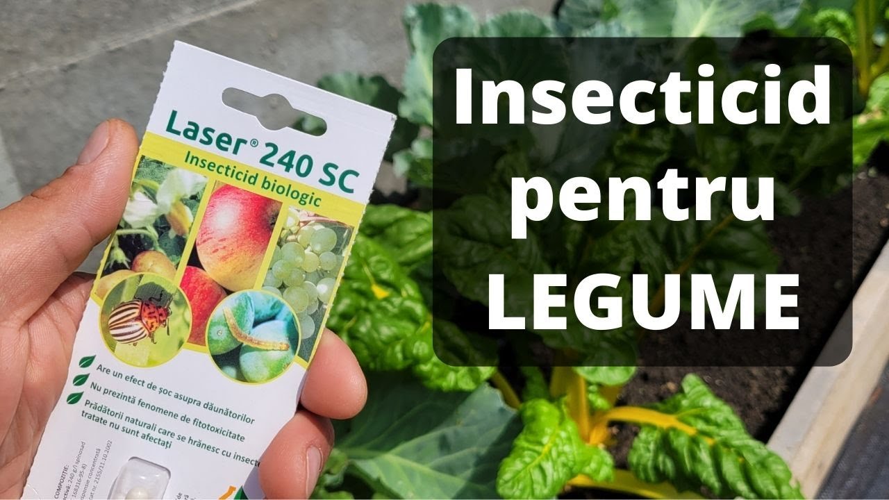 Insecticid legume | Insecticid BIO pentru gradina de legume - YouTube