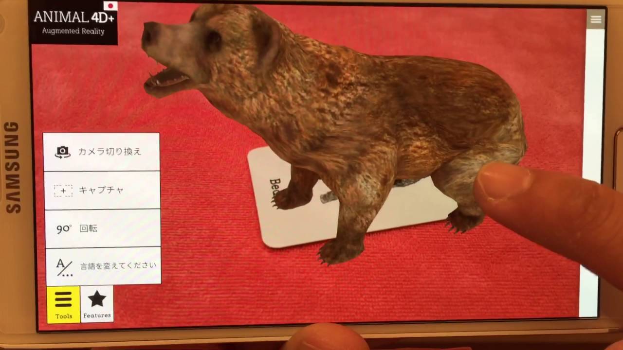 Animal 4D Alphabet Cards - YouTube