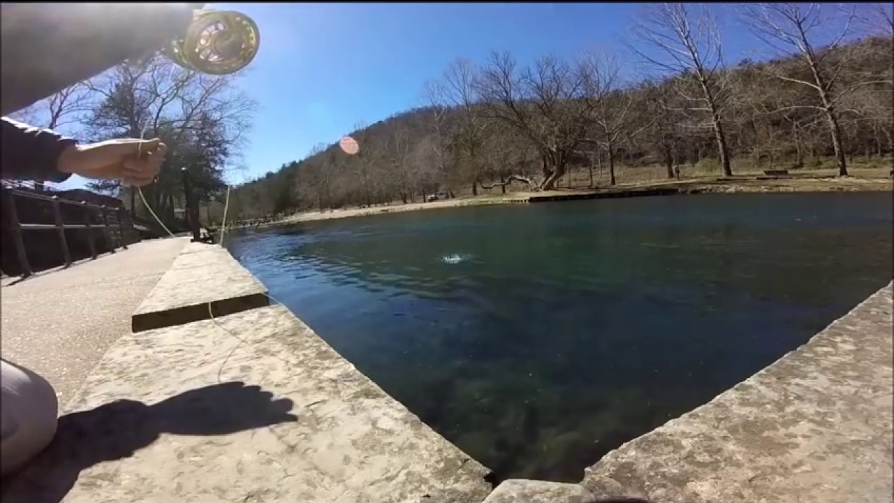 Fly Fishing Roaring River Trout Park - YouTube