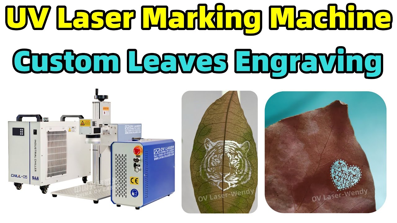 Custom Leaf Engraving | Huaray 5W UV laser marking machine for ...