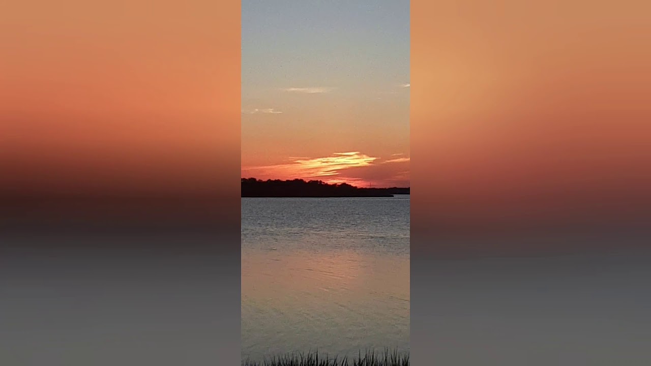 Avid SE - Sunset Dreams (Official Visualizer) - YouTube