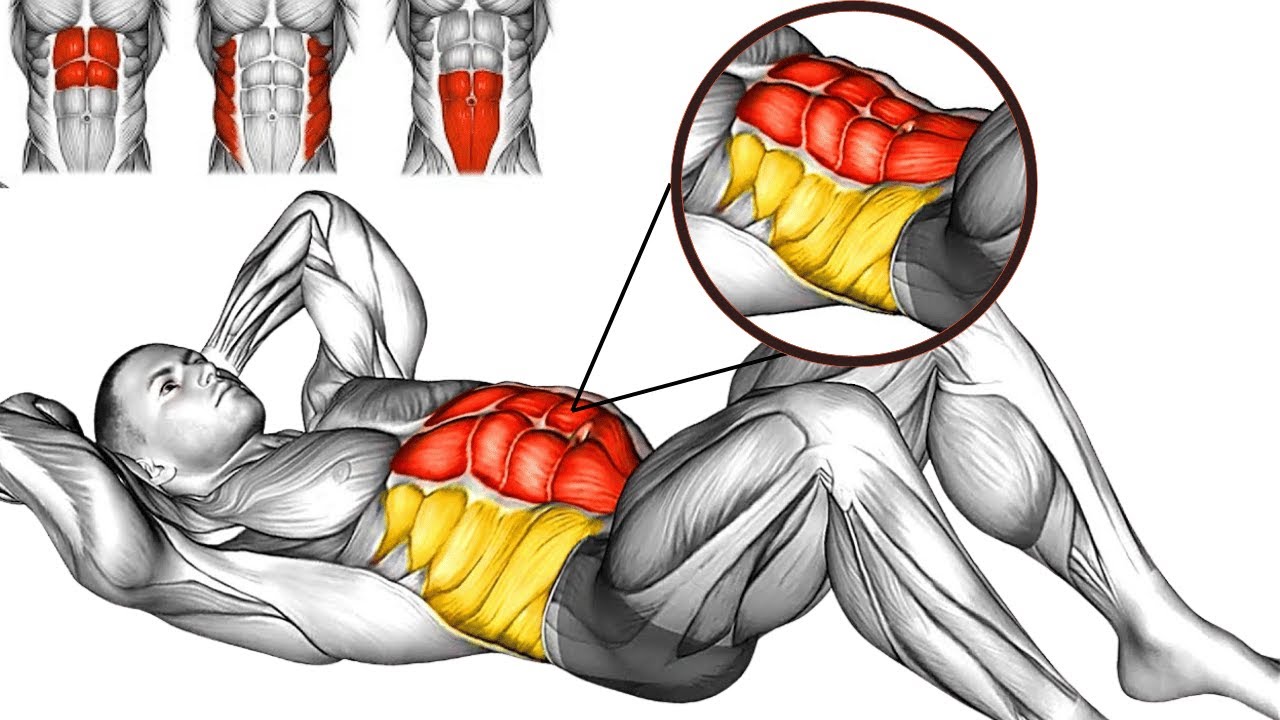 If you want to Build Abs Quickly and Surely, Do This Workout - abs ...
