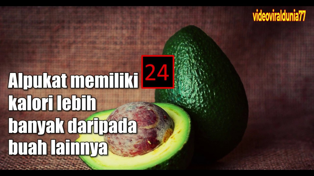 25 fakta unik dunia yang akan mencerahkan hari mu - YouTube