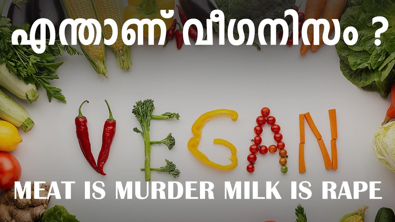 MEAT IS MURDER| MILK IS RAPE|മനുഷ്യൻ ഇത്രക്കും ക്രൂരൻ ആണോ?FEELING ...