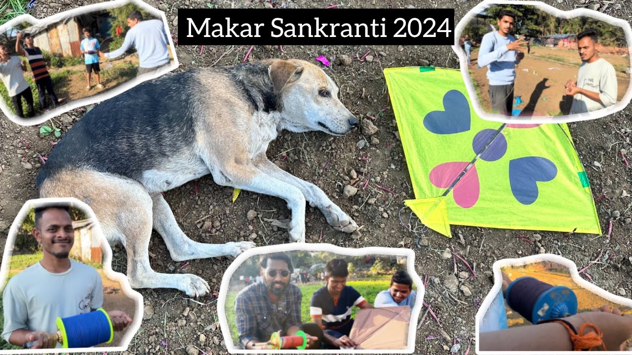 Is Saal Ki Makar Sankranti Dog Per Padi Bhari / Sankranti 2024 / Vlog ...