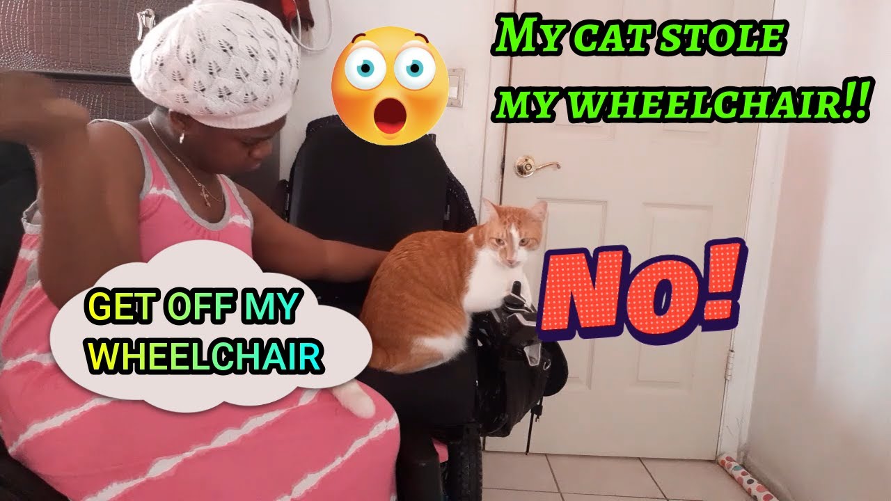 My cat stole my wheelchair | Woman with Cerebral Palsy | Ms Unstoppable ...