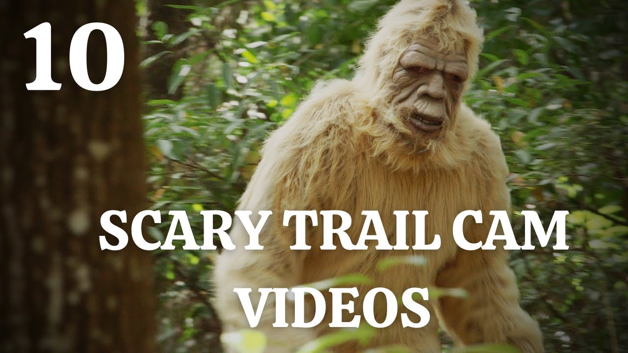Top 10 Scary Trail Cam Videos We Weren't Supposed To See | Caught On ...