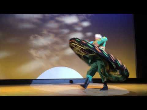 タンヌーラ  Danza egipcia Mohamed Ghareb