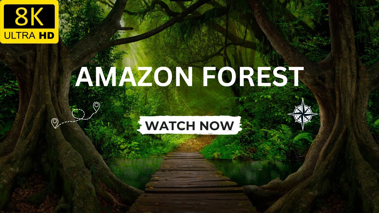 How to Plan the Perfect Amazon nature - YouTube