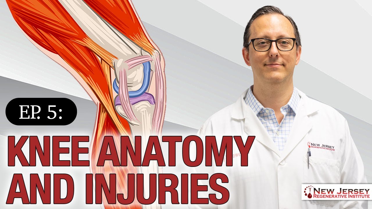 Episode 5: Knee Anatomy & Injuries (Extensor Mechanisms) - YouTube