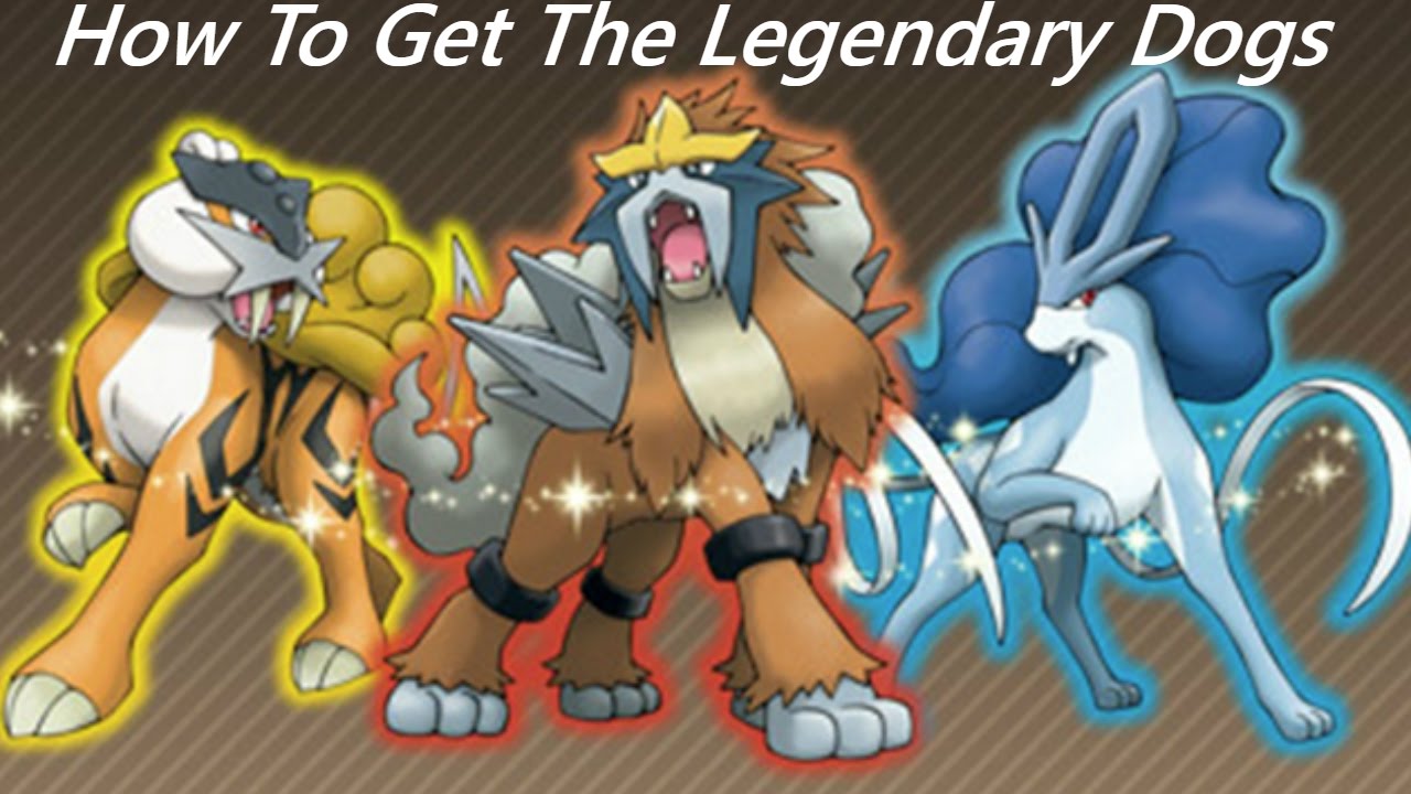 roblox how to get the legendary trio dogs in pokemon brick bronze - YouTube