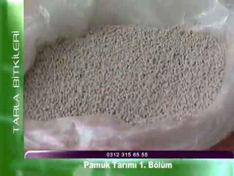 Pamuk Tarımı  Bölüm 1