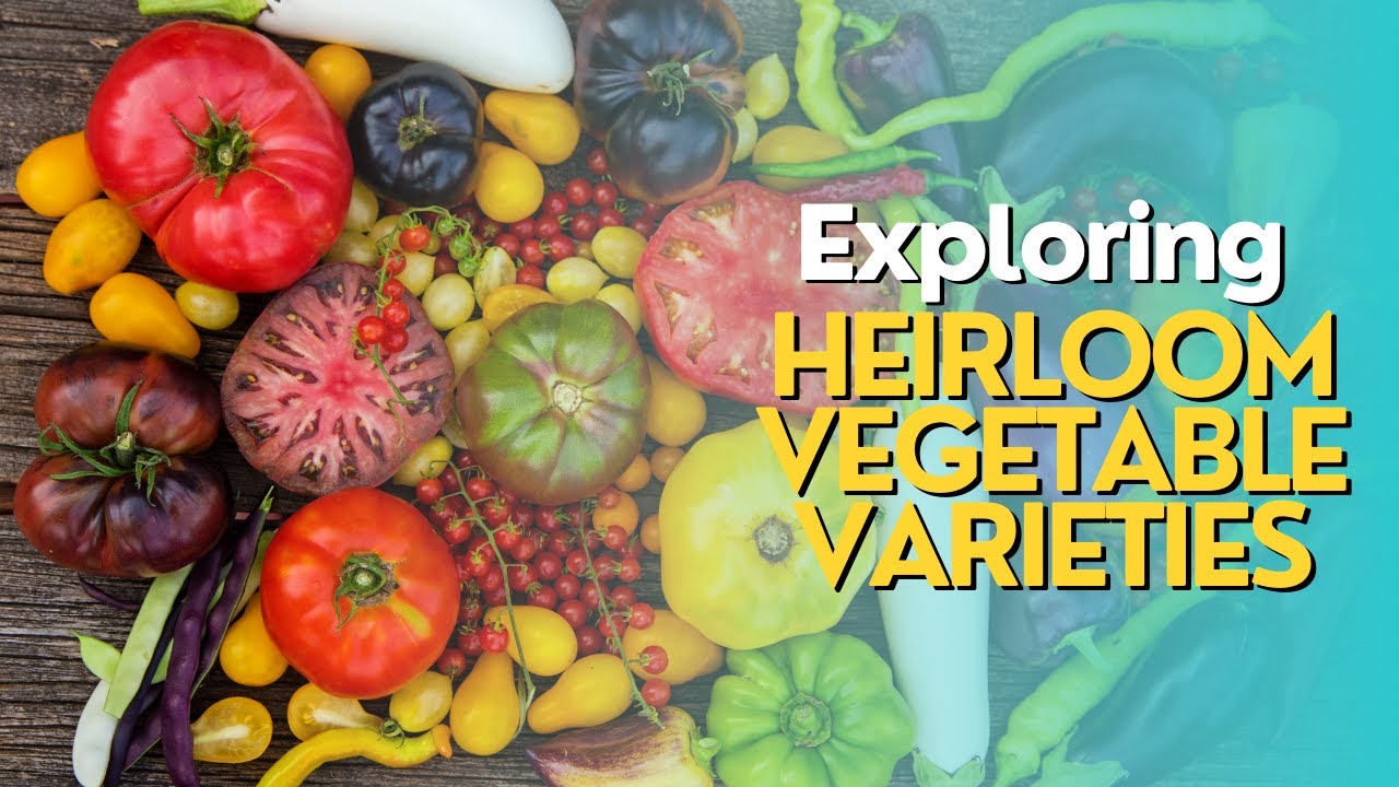 Heirloom Vegetable Varieties