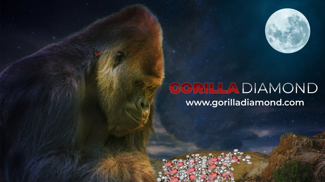 INVESTING IN GORILLA DIAMOND - SOLD OUT IN 9 MINUTES!! - YouTube