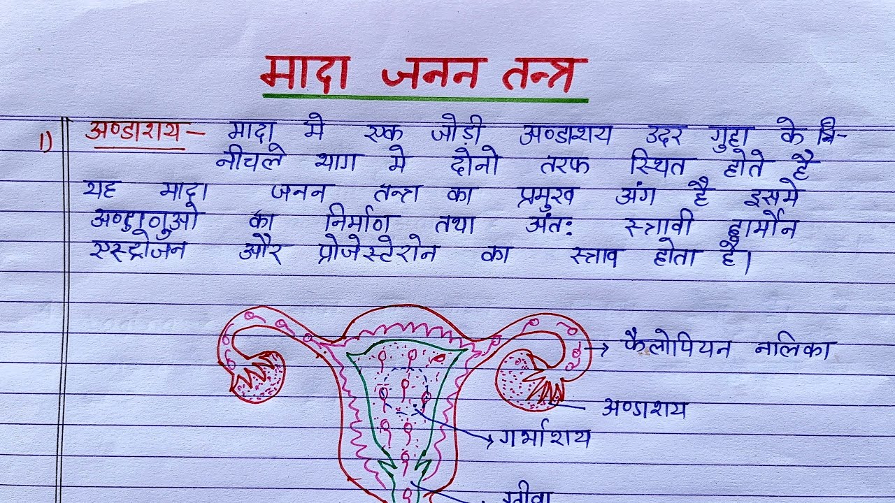 Mada Janan Tantra | Female reproductive system | class 12th biology ...