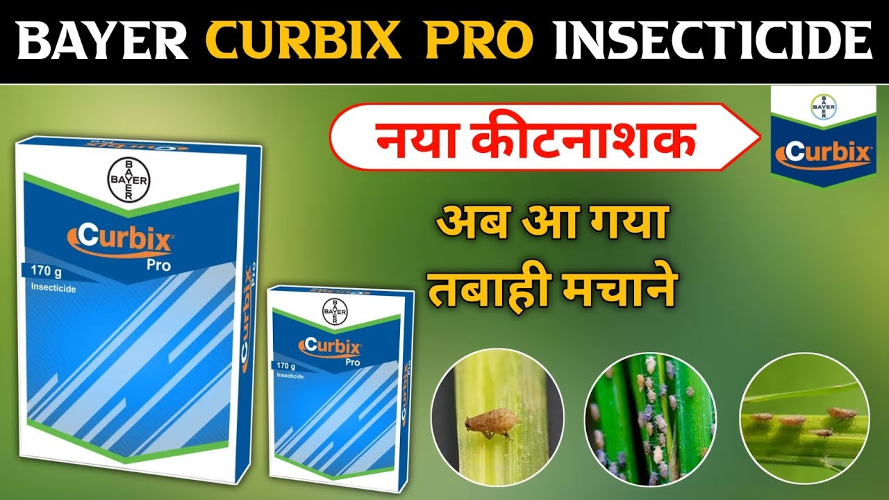 Curbix Pro Bayer || Curbix Pro insecticide तबाही मचाने आ गया || New ...