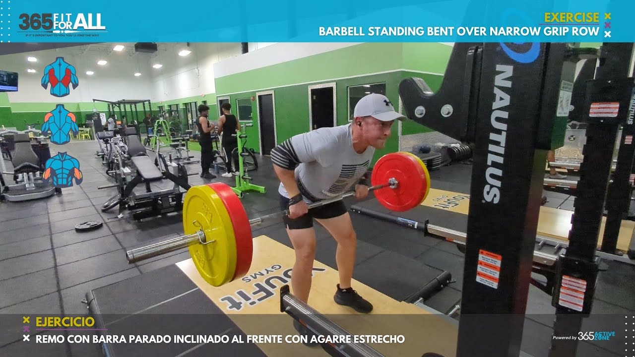 Barbell Standing Bent Over Narrow Grip Row - 365F4A - YouTube
