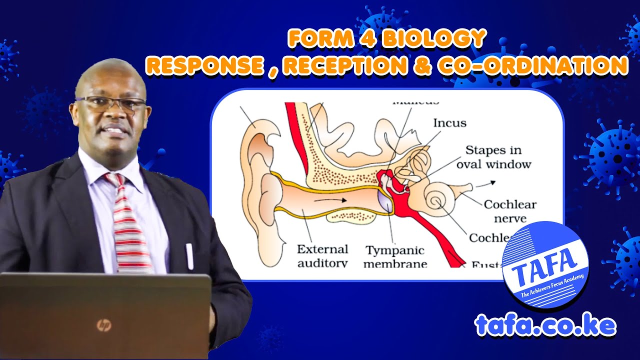 FORM 4 BIOLOGY - RECEPTION, RESPONSE AND COORDINATION IN PLANTS AND ...